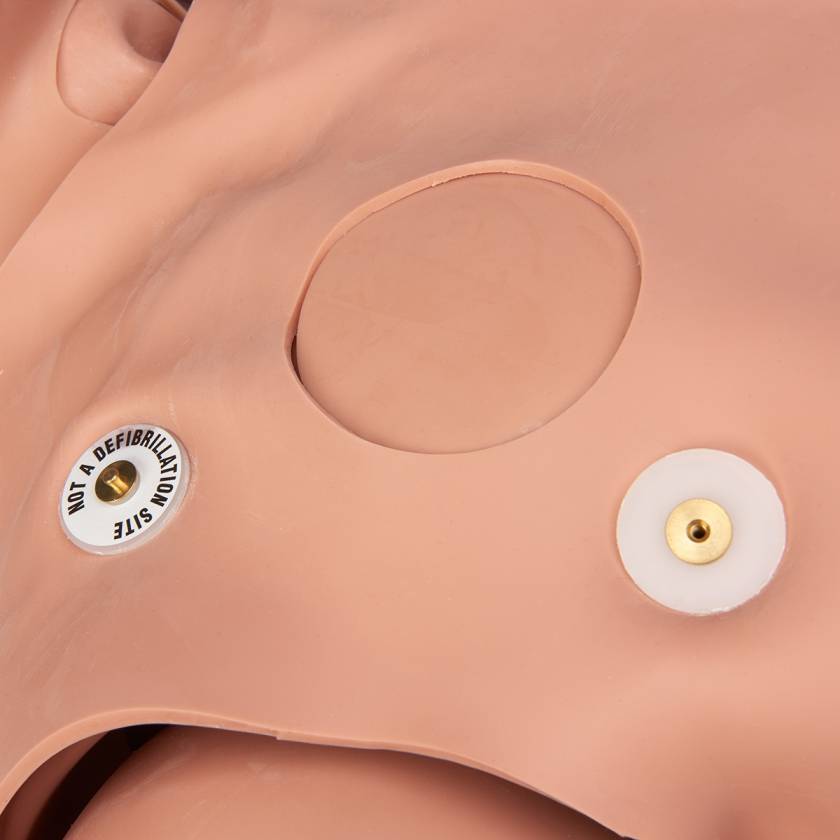 Nasco 101-310 STAT Manikin with Deluxe Airway Management Head