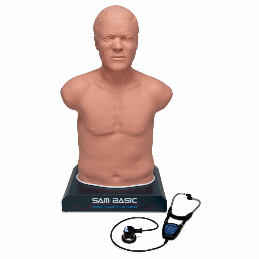 3B Scientific Adult Auscultation Manikin with SimScope