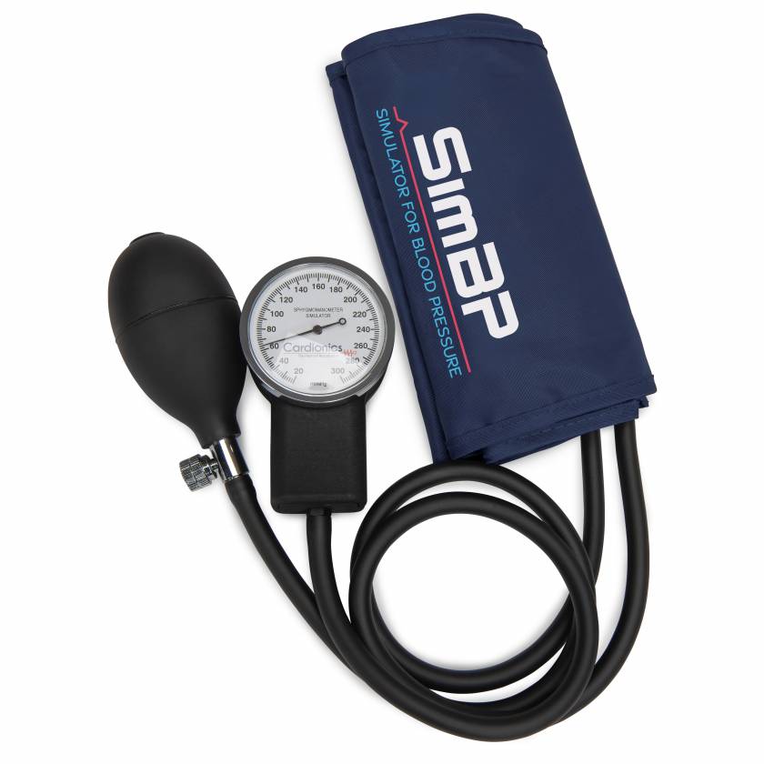 3B Scientific SimBP Simulator for Blood Pressure Training