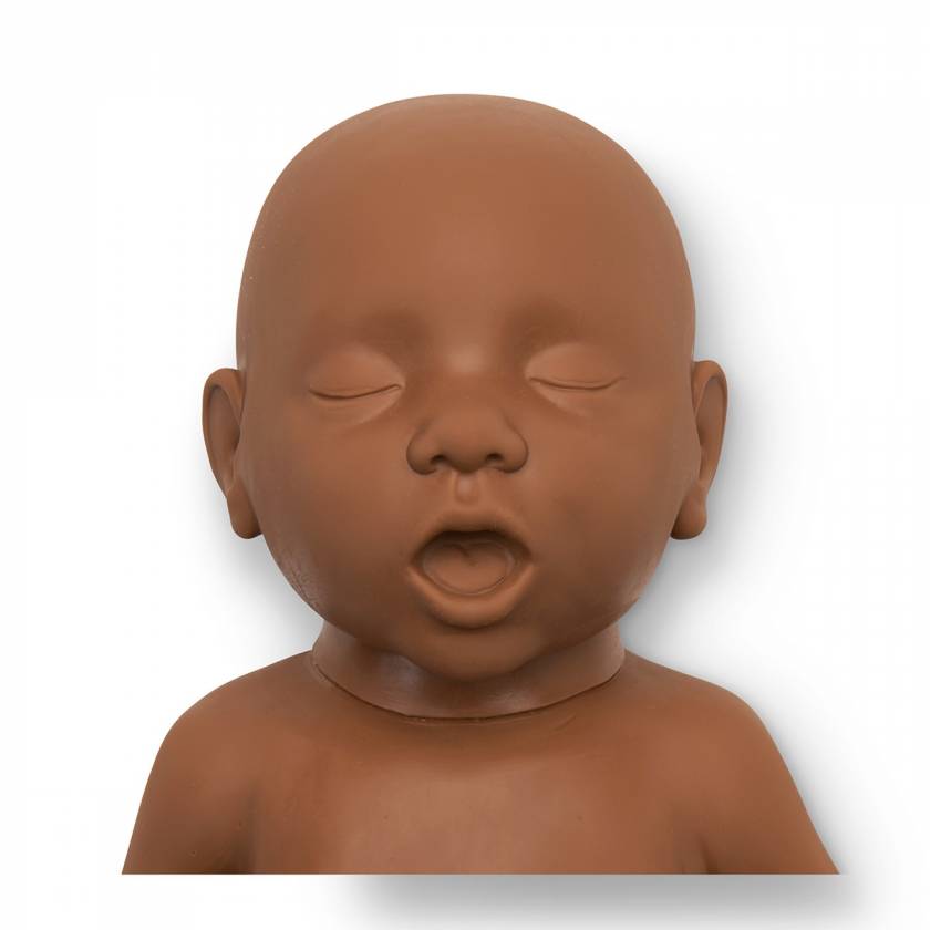110-173B Simulaids Newborn Baby for Forceps/OB Manikin - 28 in. x 8 in ...