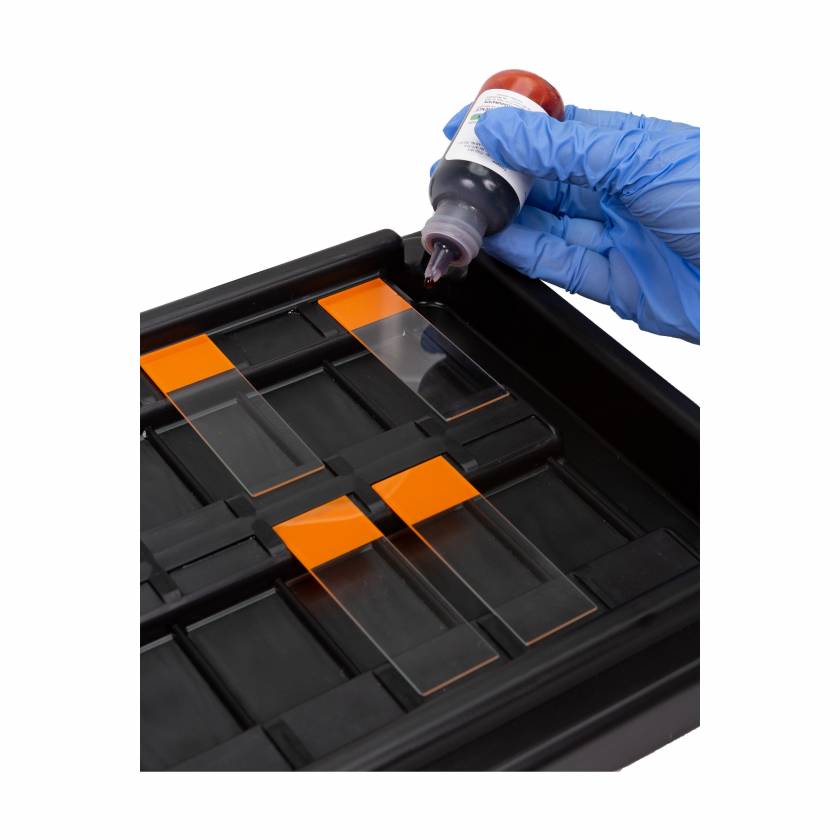 Heathrow 120879 18-Place Slide Staining Tray Black with Lid