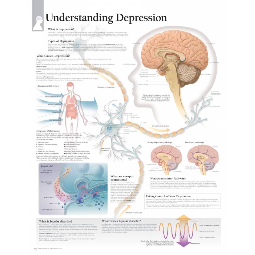 Scientific Publishing Understanding Depression Chart
