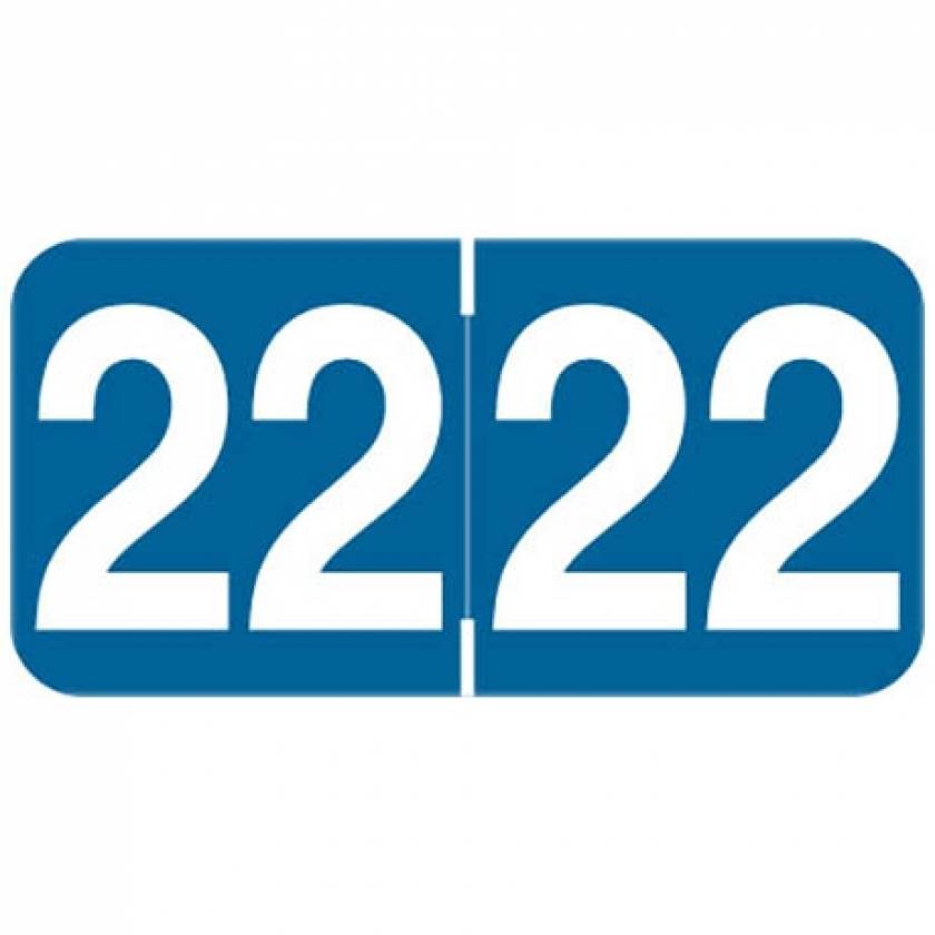 Arden 22-AAYM-S4 Ames Compatible 2022 Year Labels 0.75"Hx1.5"W