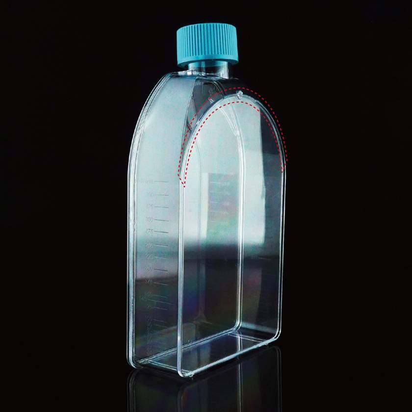 T150 U-Shaped Canted Neck Cell Culture Flask with Plug Seal Cap