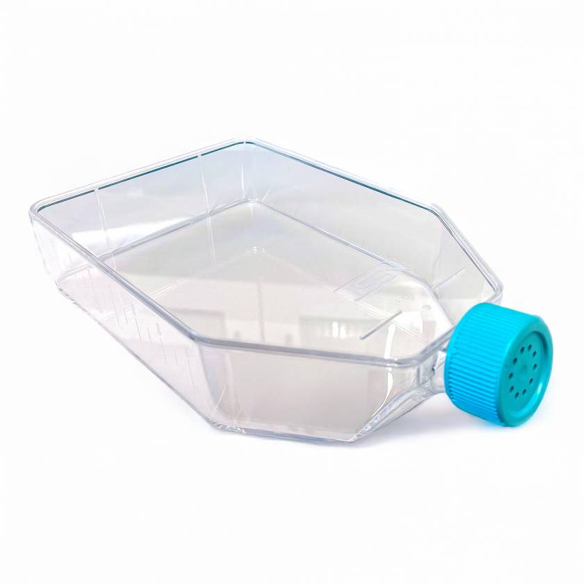 NEST Scientific Cell Culture Flask with Vent Filter Cap