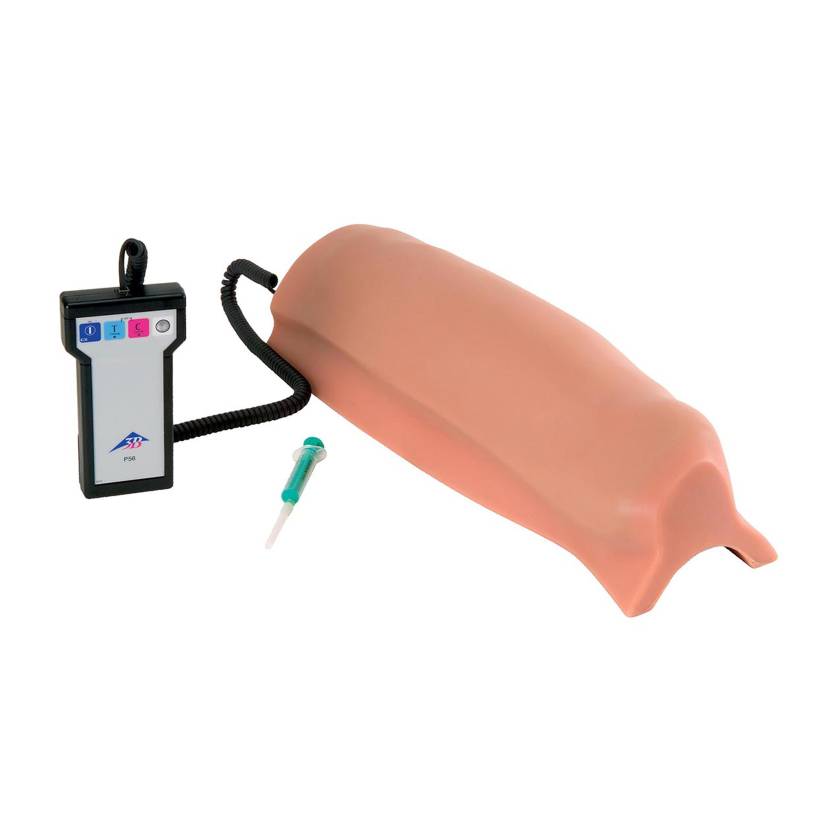 3B Scientific Lower Intramuscular Injection Training Set