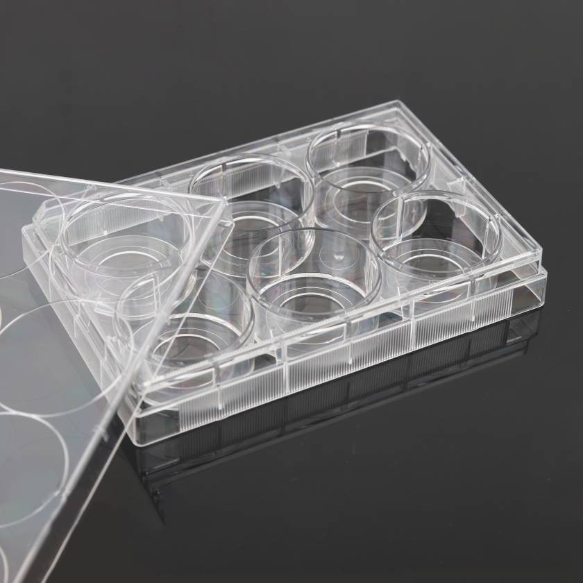 NEST Scientific Glass Bottom Cell Culture Plate