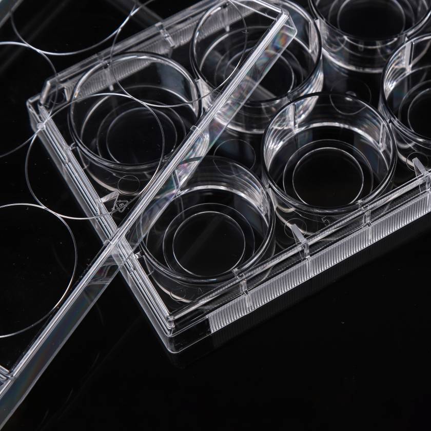 NEST Scientific Glass Bottom Cell Culture Plate