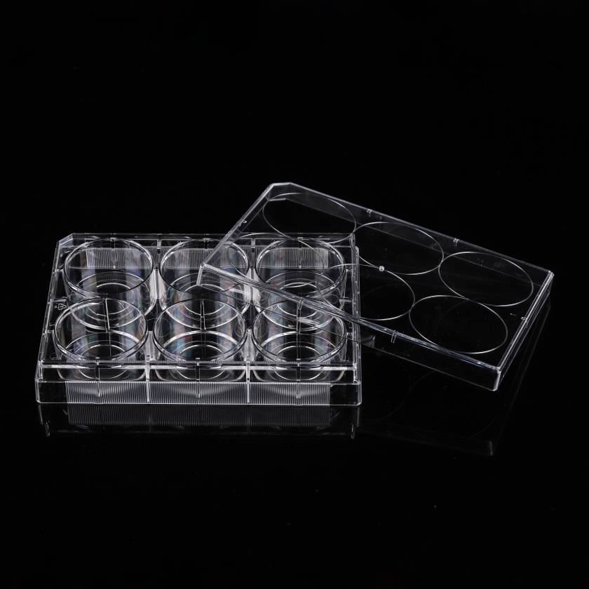 NEST Scientific Glass Bottom Cell Culture Plate