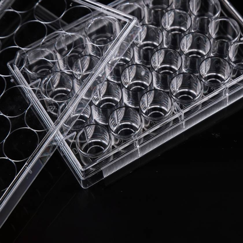 NEST Scientific Glass Bottom Cell Culture Plate