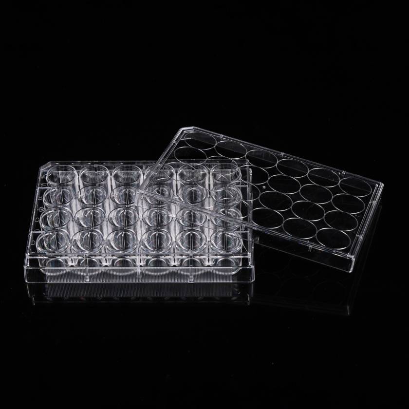 NEST Scientific Glass Bottom Cell Culture Plate