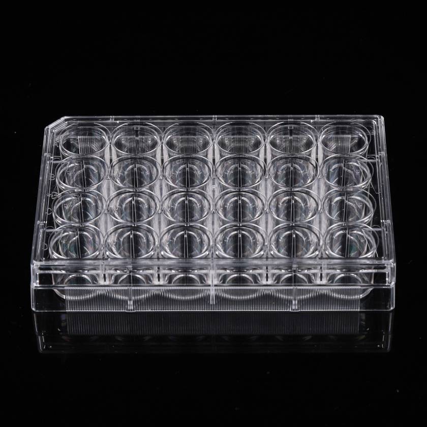 NEST Scientific Glass Bottom Cell Culture Plate