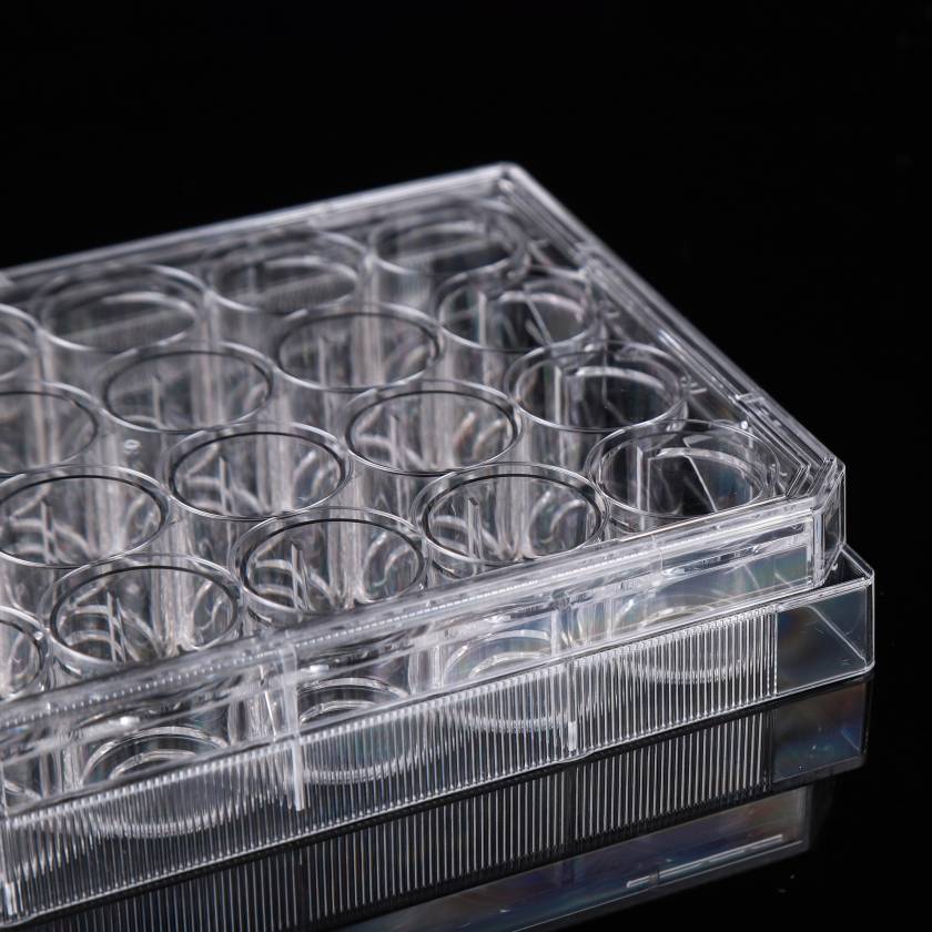 NEST Scientific Glass Bottom Cell Culture Plate