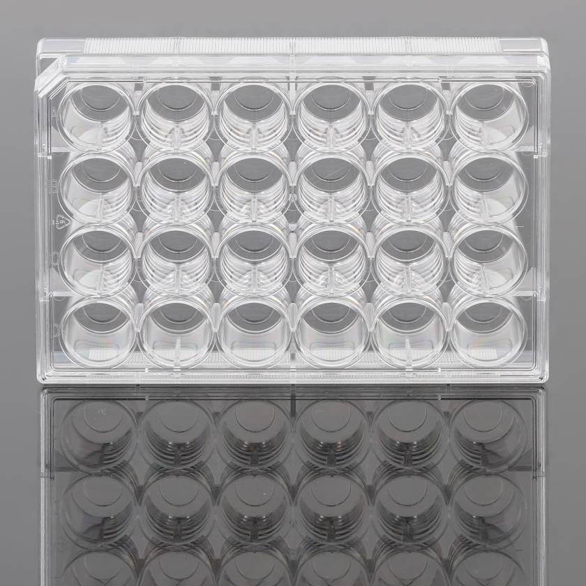 NEST Scientific Glass Bottom Cell Culture Plate