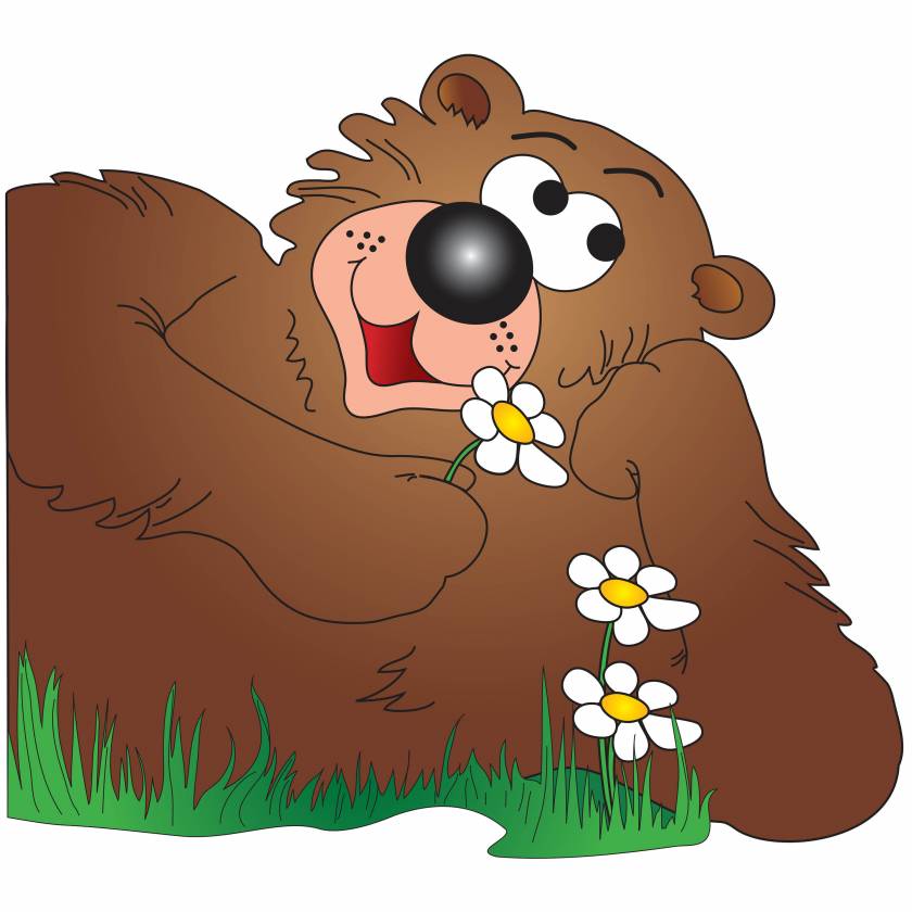 Clinton 9729 Friendly Bear Graphic