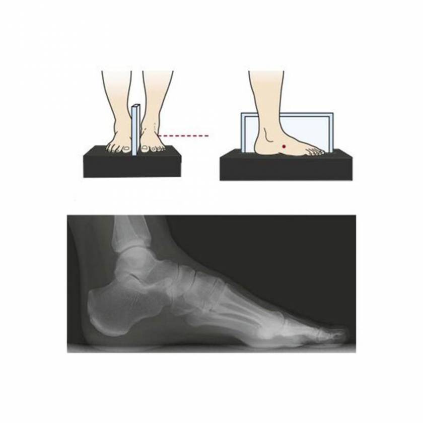 RC Imaging A.WBCH-AH Dual-Position Weight Bearing Cassette & DR Panel ...
