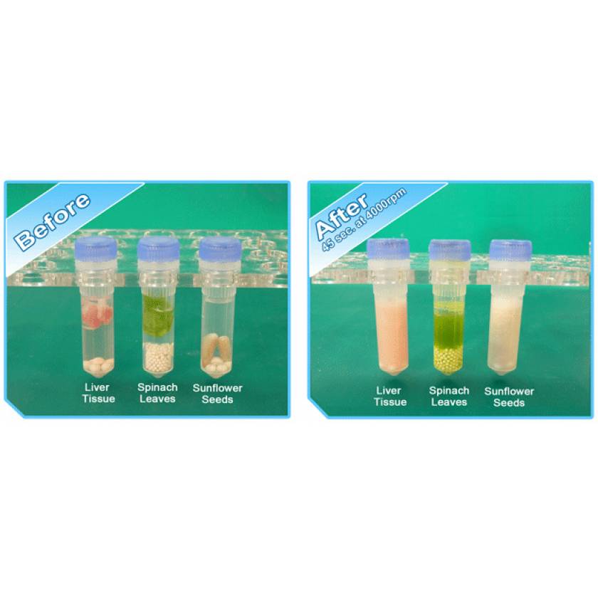 Benchmark D1030 BeadBug Microtube Homogenizer