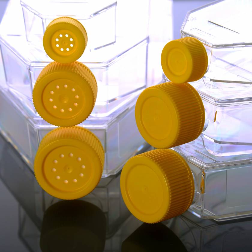 NEST Scientific Cell Culture Flask with Plug Seal Cap, Sterile