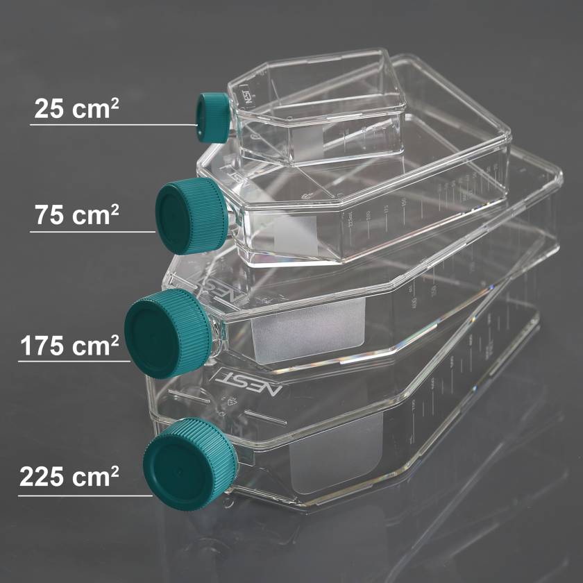 NEST Scientific Cell Culture Flask with Plug Seal Cap, Sterile