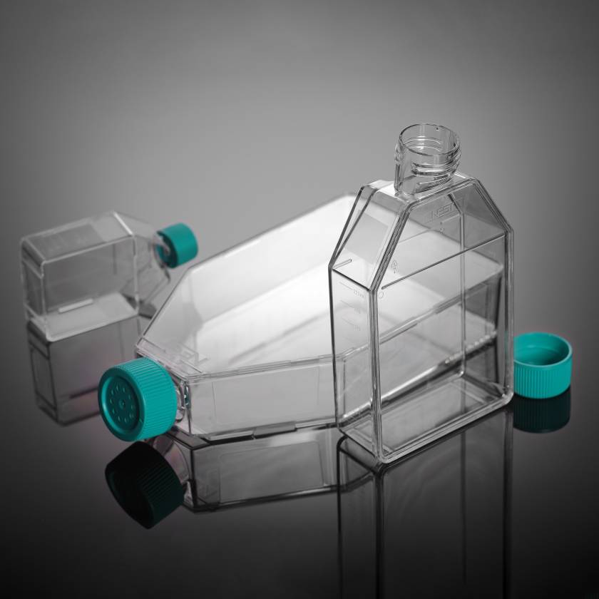 NEST Scientific Cell Culture Flask with Vent Filter Cap