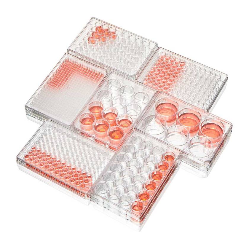 Diamond® SureGro™ Multiple Well Plate, Tissue Culture Treated