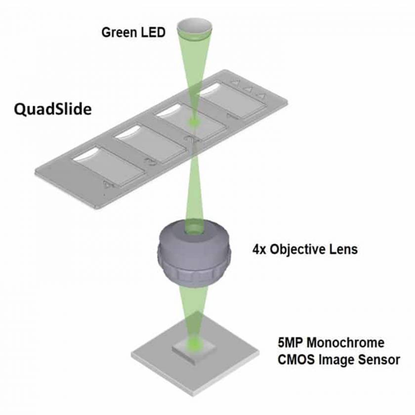 Benchmark E7500 Accuris QuadCount™ Automated Cell Counter