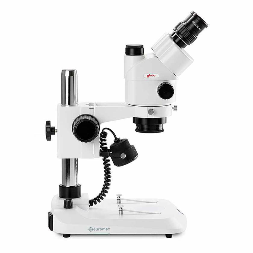 StereoBlue Trinocular Stereo Microscope ESB-1903-P