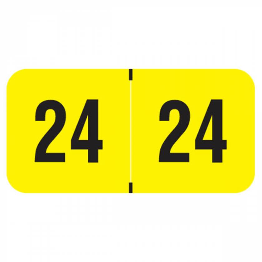 Arden FYYM-24-T4 2024 Year Labels PMA Fluorescent Yellow