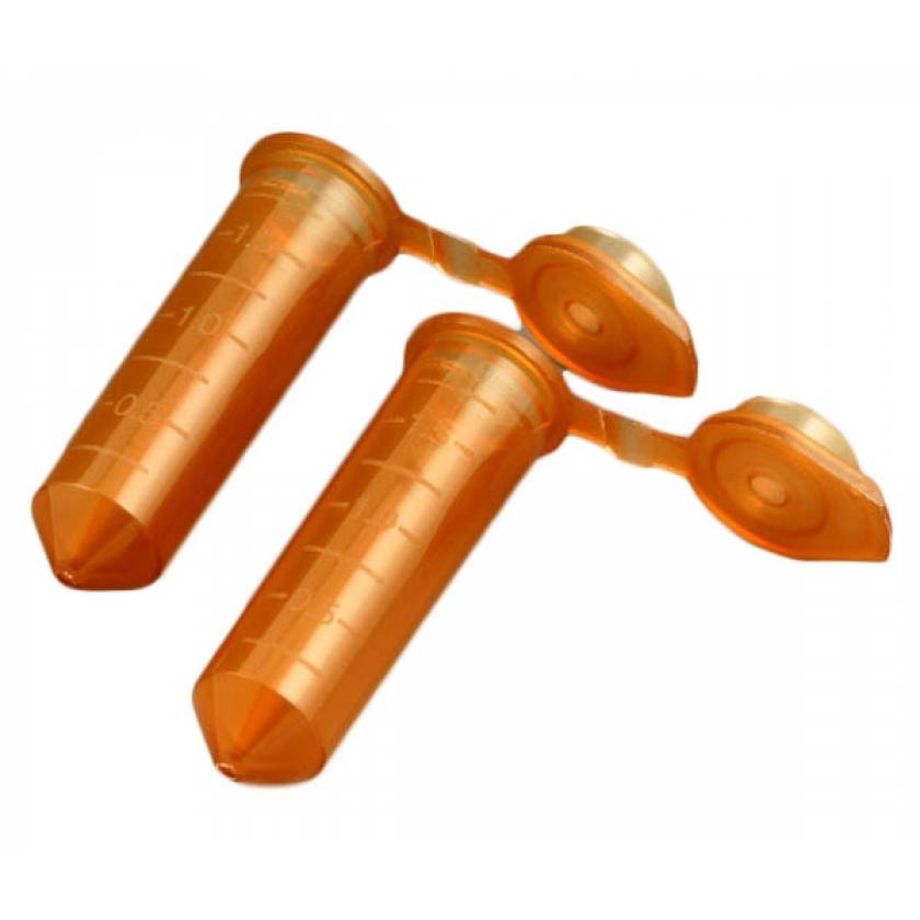 2mL Microcentrifuge Tube PP Graduated Attached Flat Cap by Globe Scientific