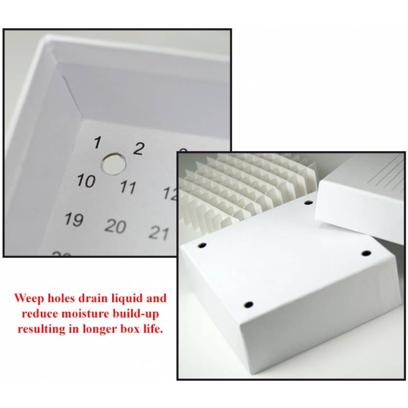 Cardboard Freezer Storage Boxes for 2" and 3" Tall Vials Globe Scientific