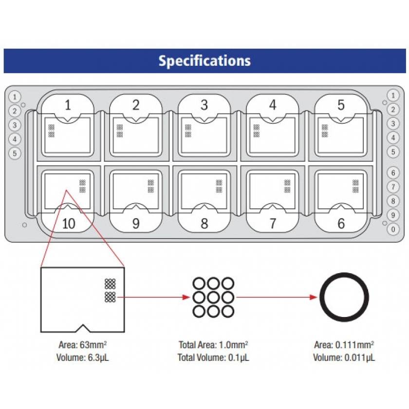 Quick-Read Microscope Slide 10 Chamber Urinalysis Slide Globe 3805