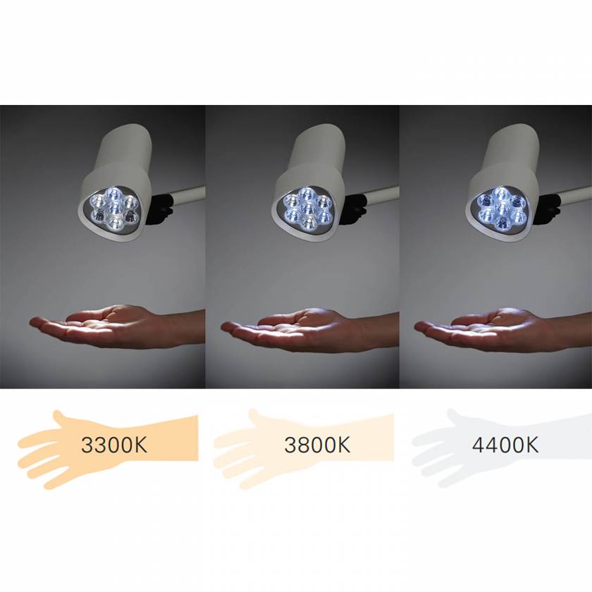 HALUX N50-3 P FX Exam Light, 33.5" Double Arm, 3 Color Shades