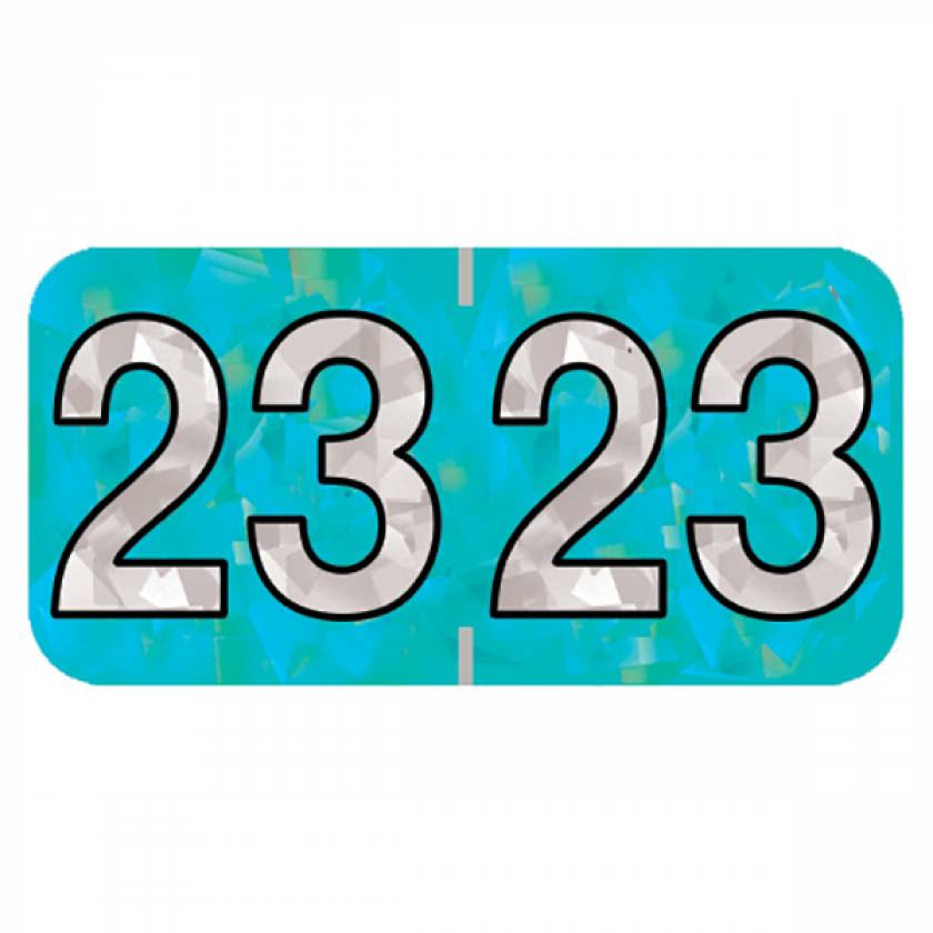 Arden Label HAYM-23-T4 2023 Year Labels Holographic Aqua 0.75"H x 1.5"W