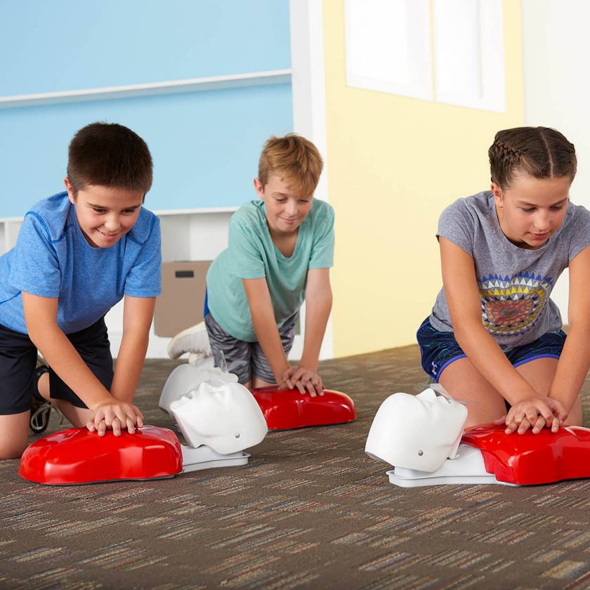 Nasco LF03694A Basic Buddy Plus Powered by Heartisense CPR Manikin Pack ...