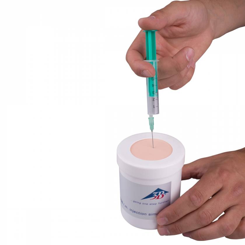 3B Scientific P54 Intramuscular Injection Simulator