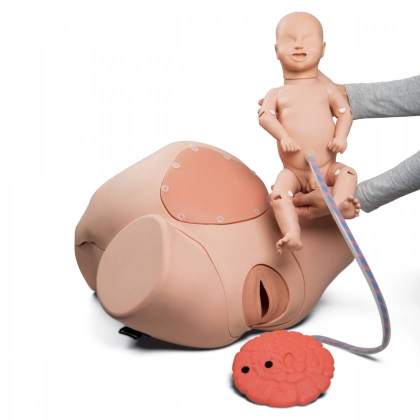 3B Scientific P90B Birthing Simulator Basic