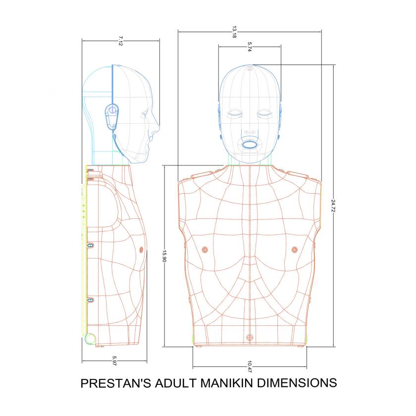 Prestan PP-AM-400M-MSDS Professional Manikin, Diversity Kit