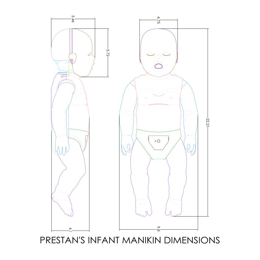 Prestan PP-FM-300M Professional Manikin with CPR Feedback, Collection