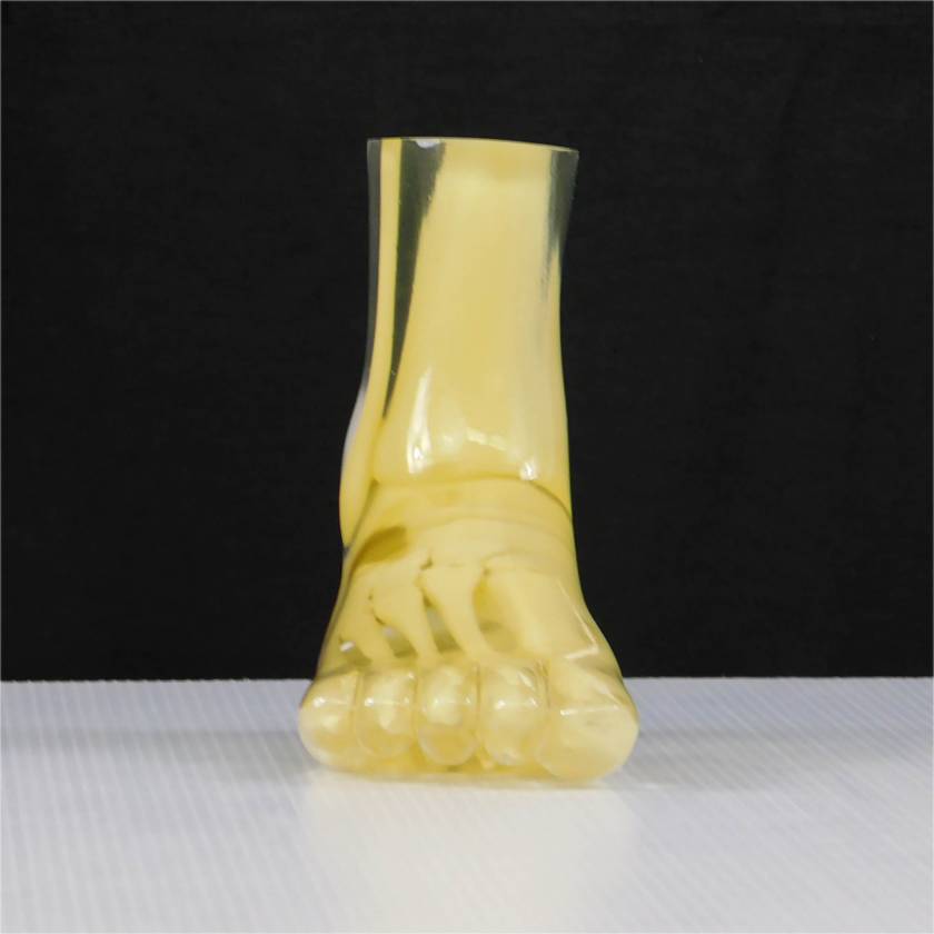 RSD RS-116 and RS-116T Anthropomorphic Foot Ankle Phantom