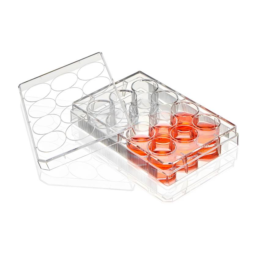 Diamond® SureGro™ Multiple Well Plate, Tissue Culture Treated