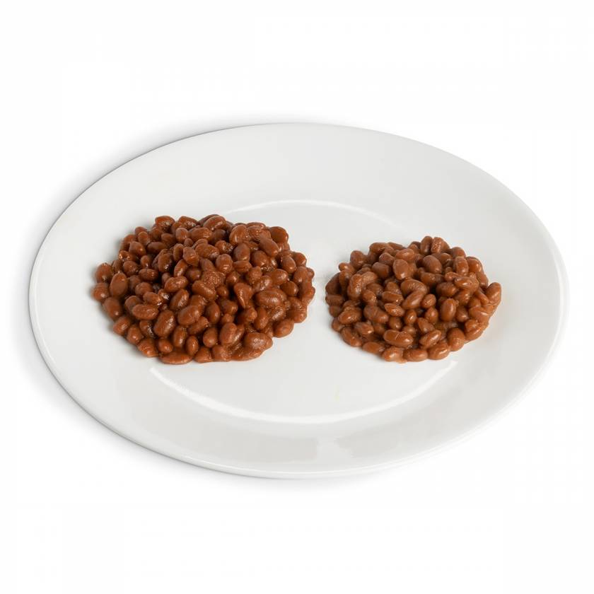 Nasco Life/form Beans Food Replica - Baked - 2/3 cup (160 ml)