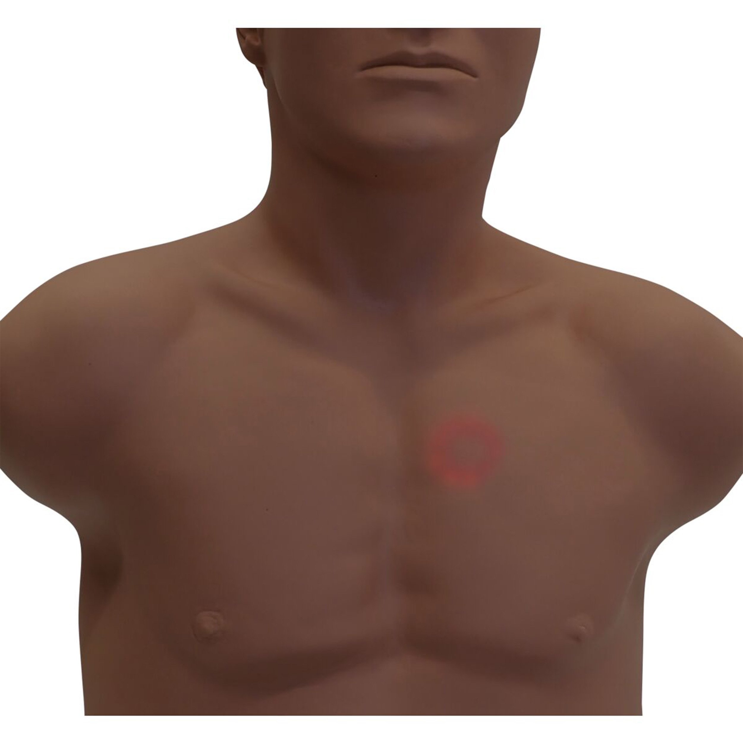3B Scientific 1024553 and 1025087 SAM4 Auscultation Manikin