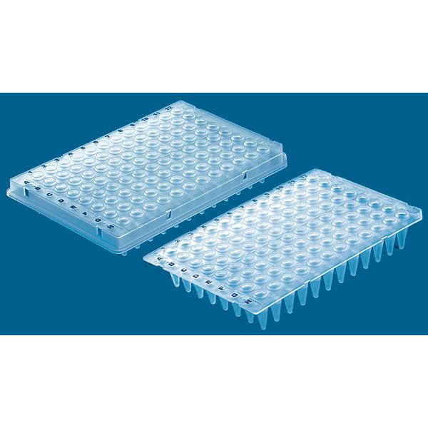 BrandTech BRAND Polypropylene 96-Well PCR Plates