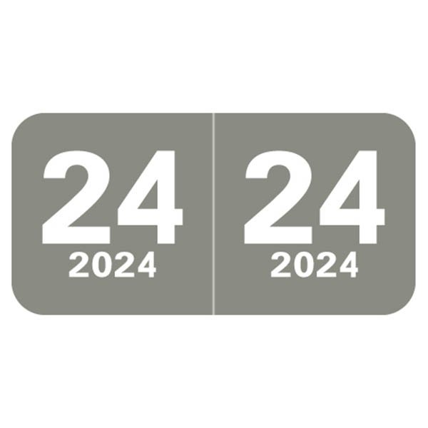 Arden CTYM-24-T4 2024 Year Labels Col'R'Tab Compatible CTYM Series