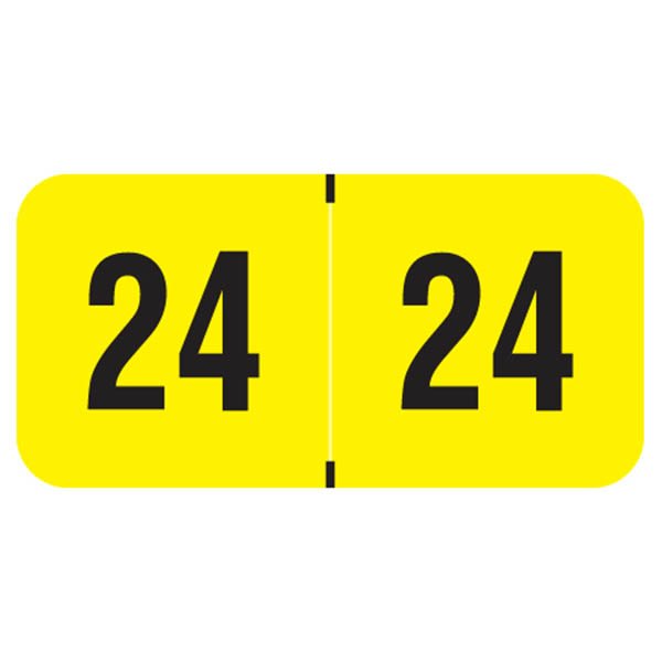 Arden FYYM-24-T4 2024 Year Labels PMA Fluorescent Yellow