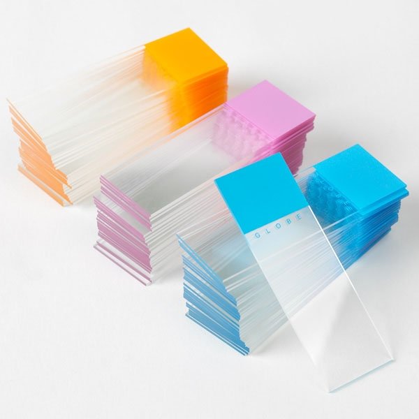 White Glass Microscope Slides Frosted Color Coded 1 End 1 Side 90 ...