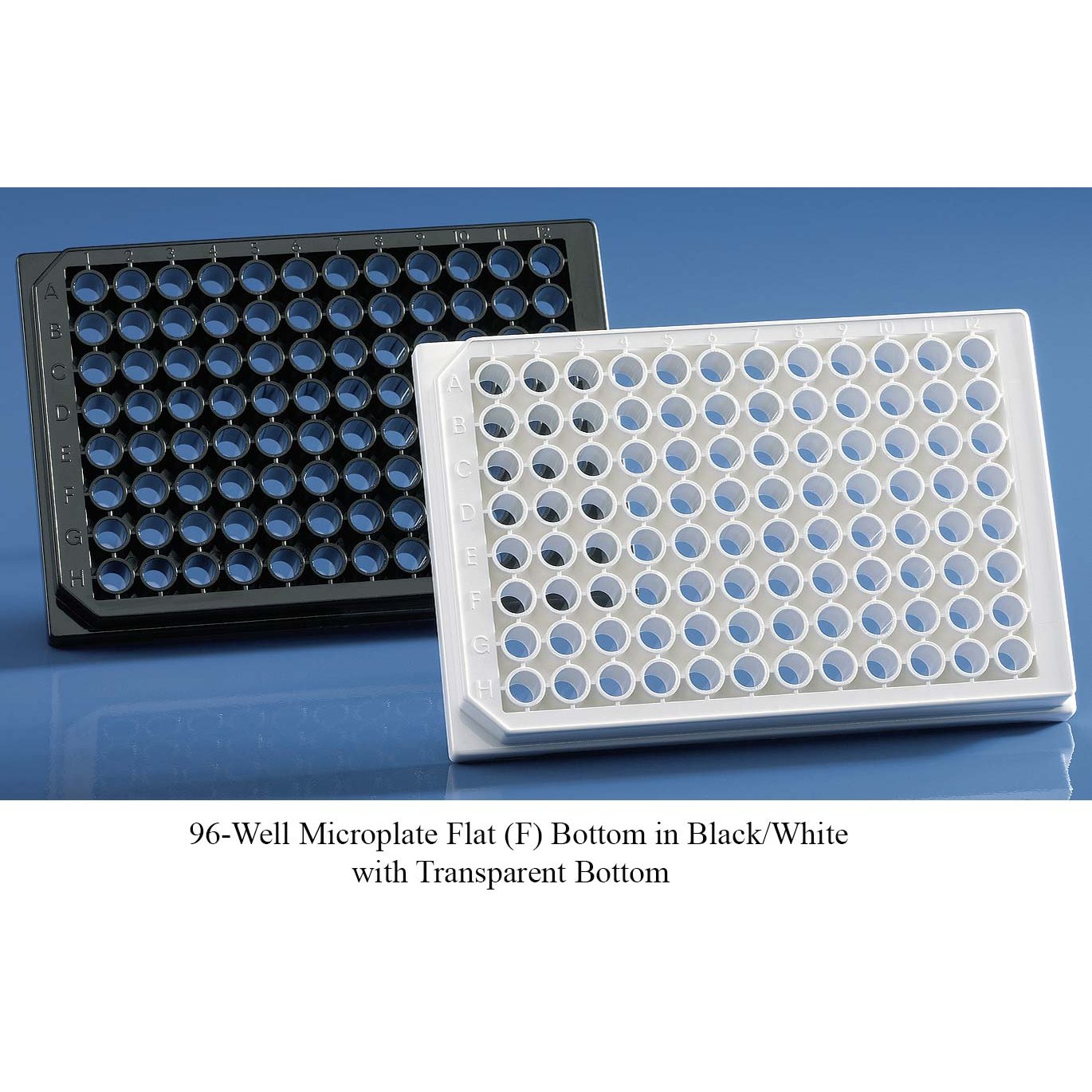 BrandTech BRANDplates 96-Well Plate pureGrade Polystyrene Non-Sterile