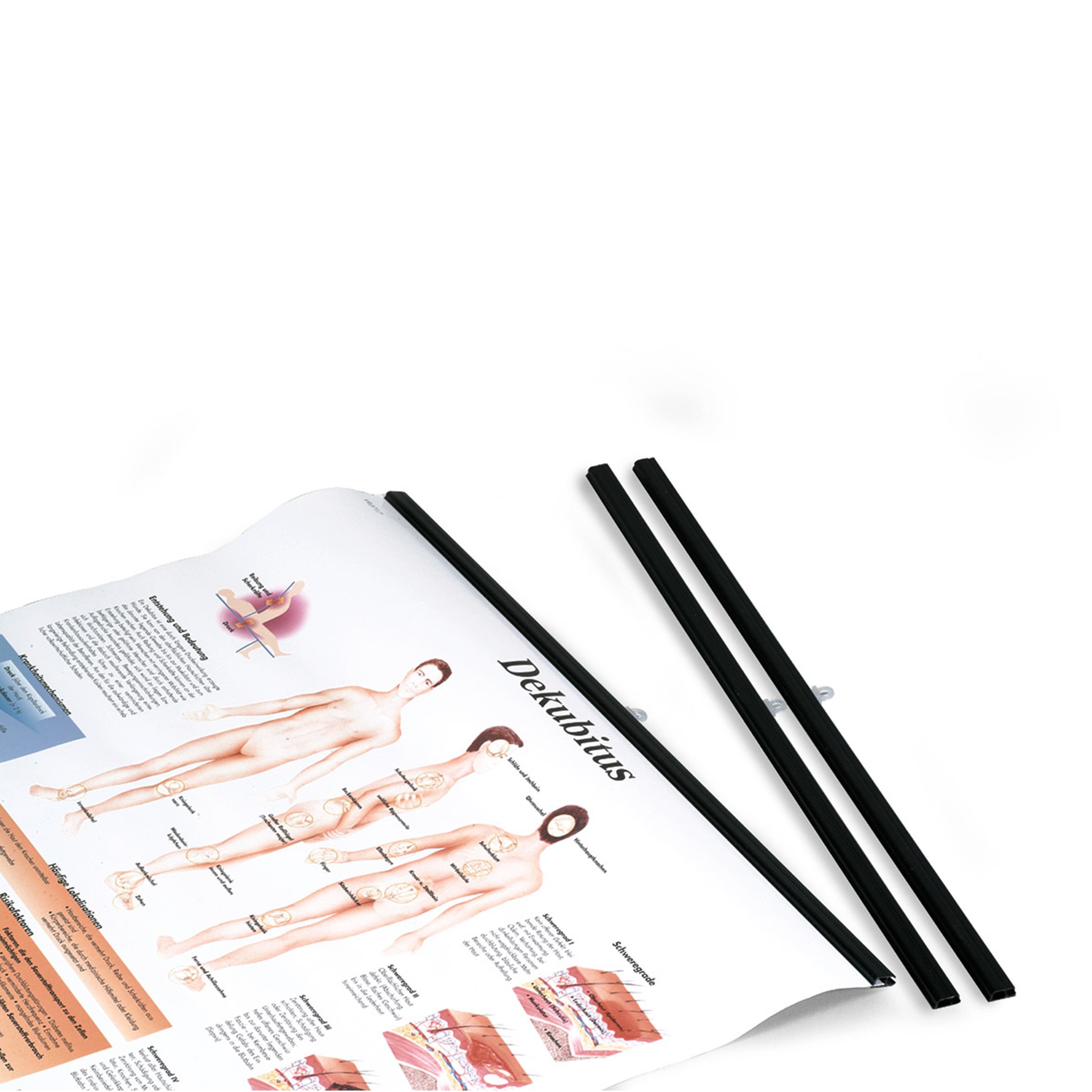 3B Scientific Black Plastic Rod for Anatomical Charts - 50 cm