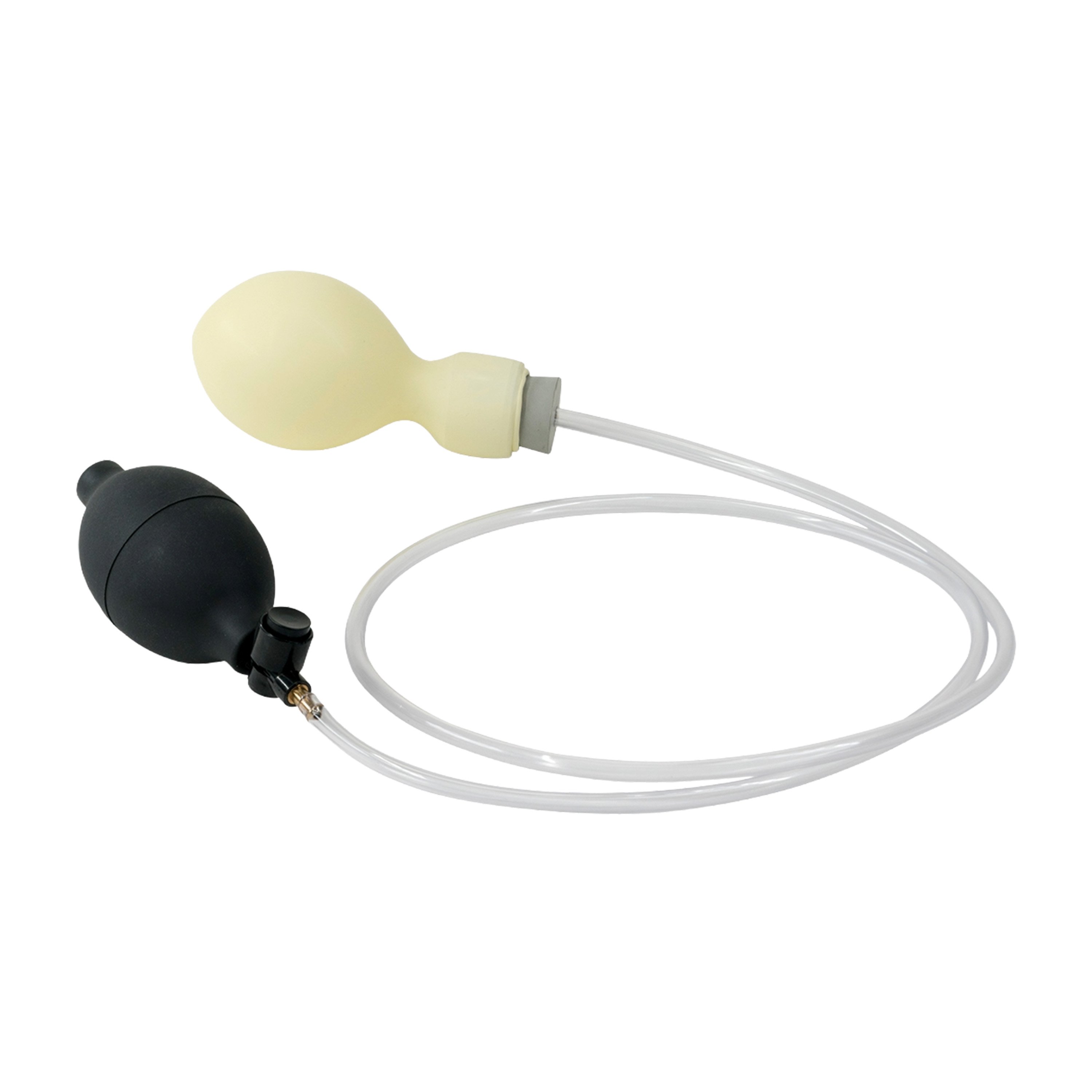 3B Scientific Bladder System for Gynecologic Skills Trainer
