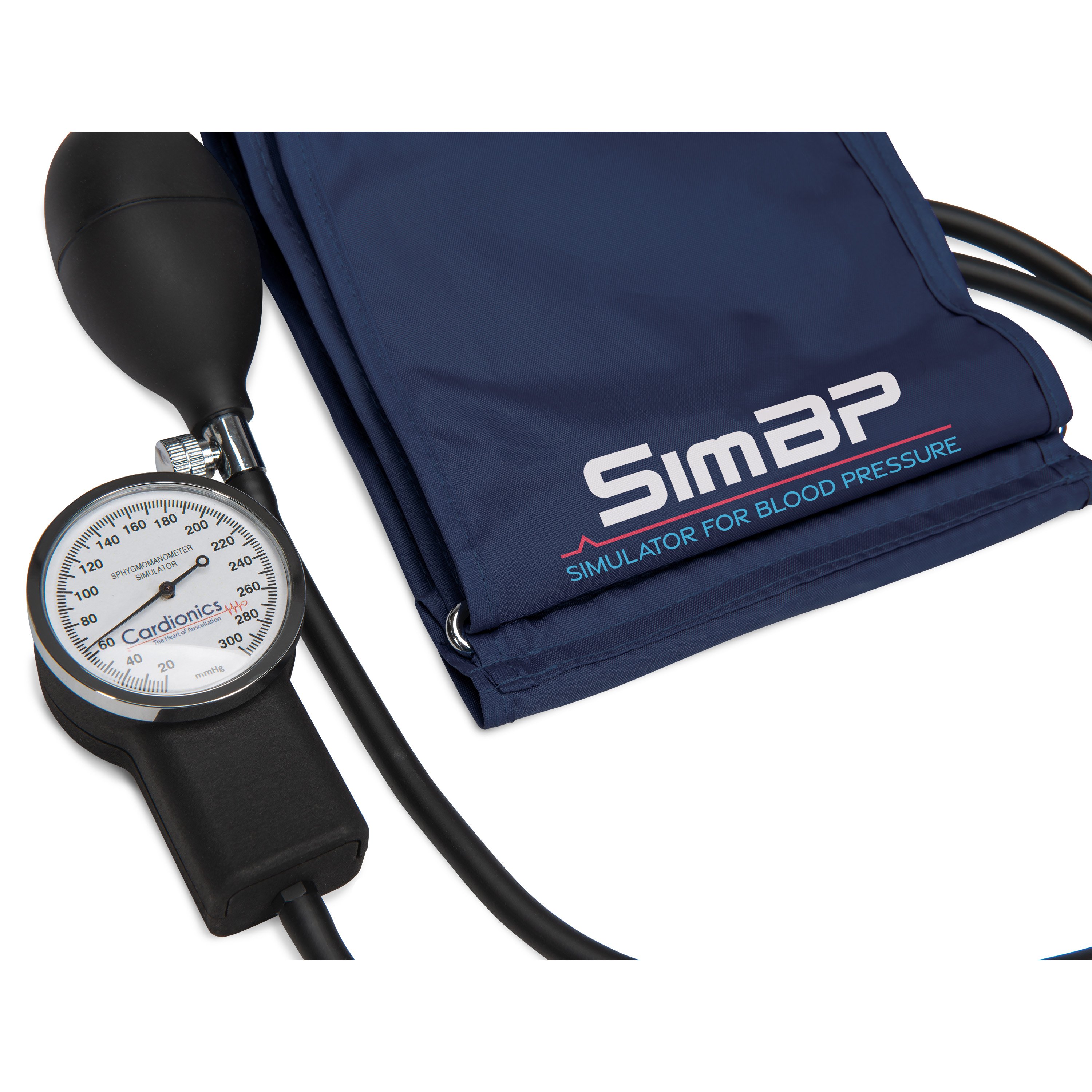 3B Scientific SimBP Simulator for Blood Pressure Training